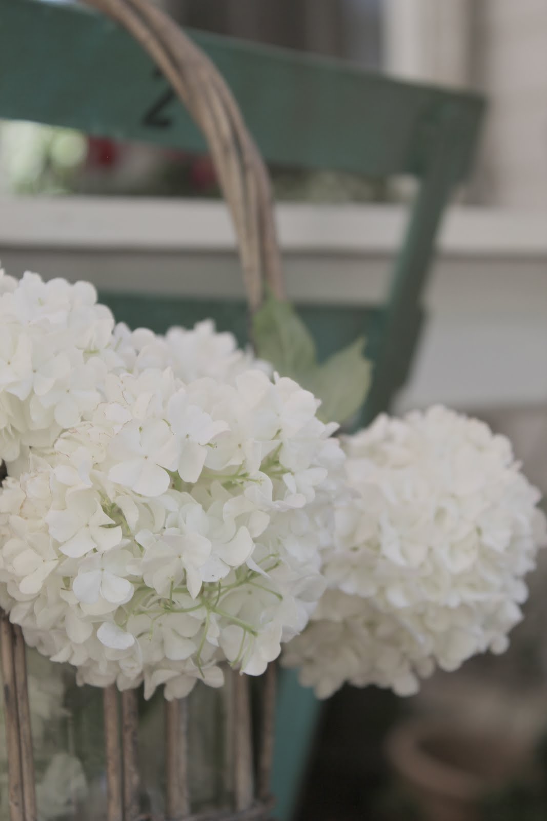 SUMMER SNOWBALLS - French Country Cottage