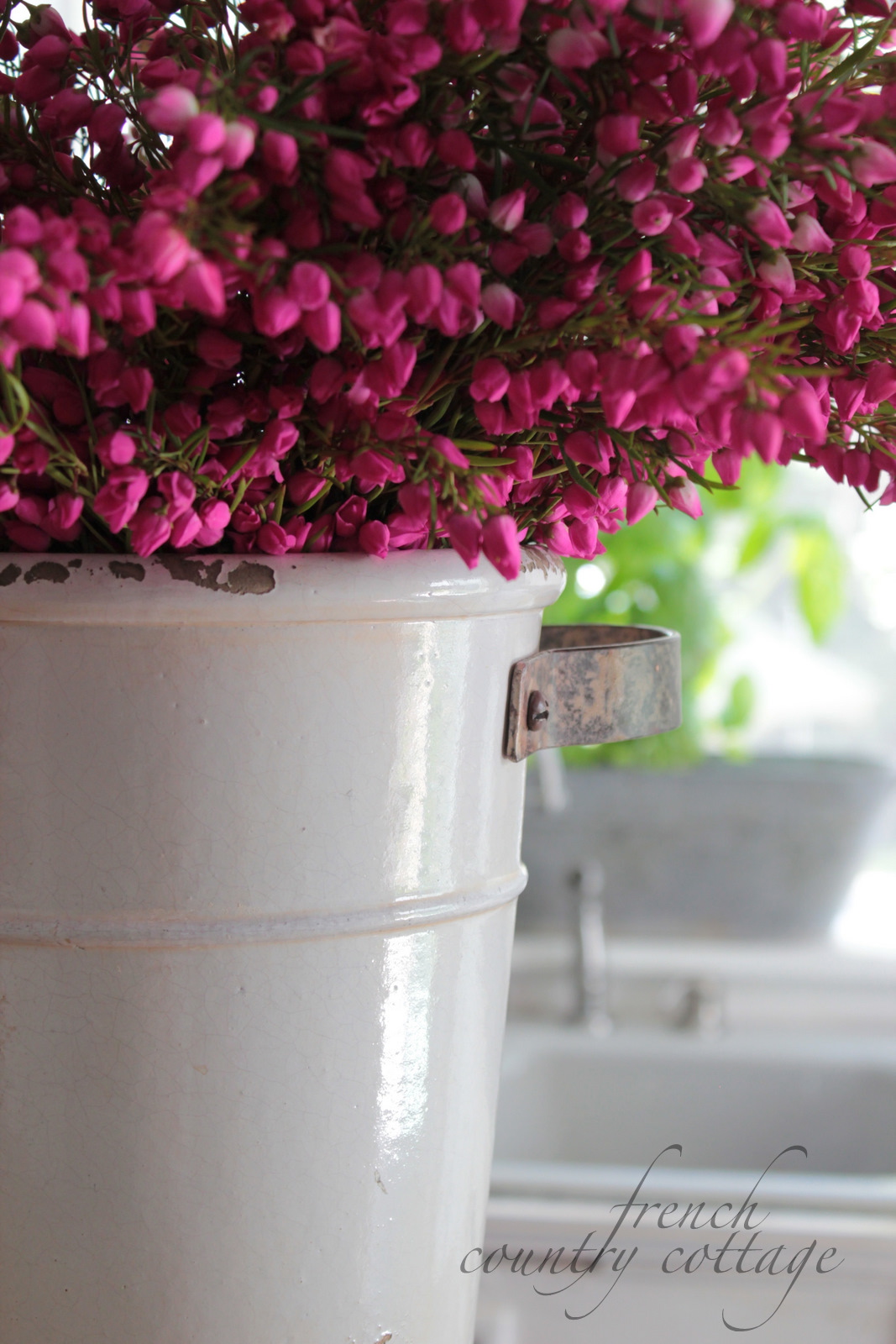 White Flower Bucket - French Country Cottage