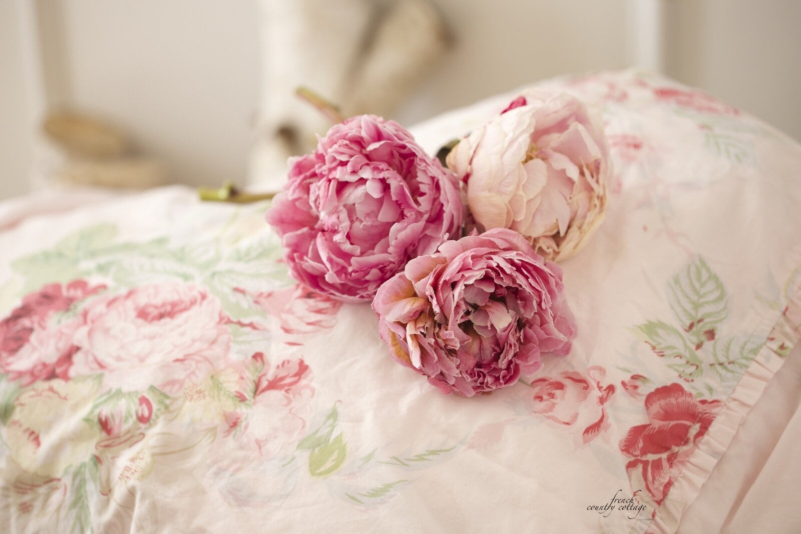 The secret to perfectly dried peonies - French Country Cottage