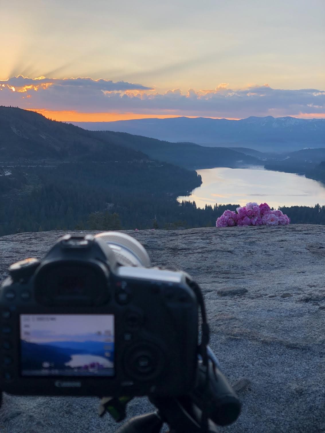 Weekend View - French Country Cottage