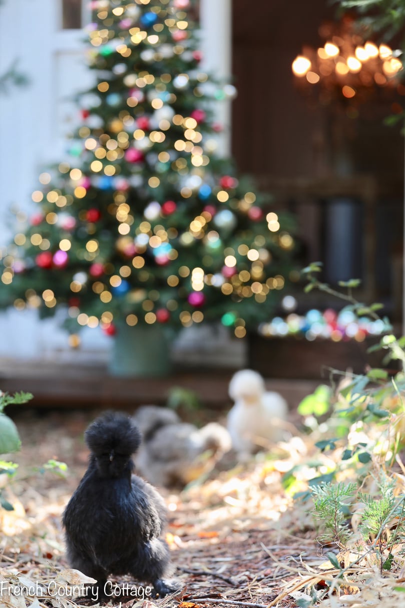 10 Five Minute Christmas Ideas - French Country Cottage