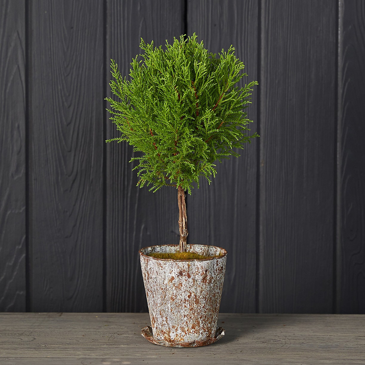 Friday Favorites- 24 Charming Topiaries - French Country Cottage