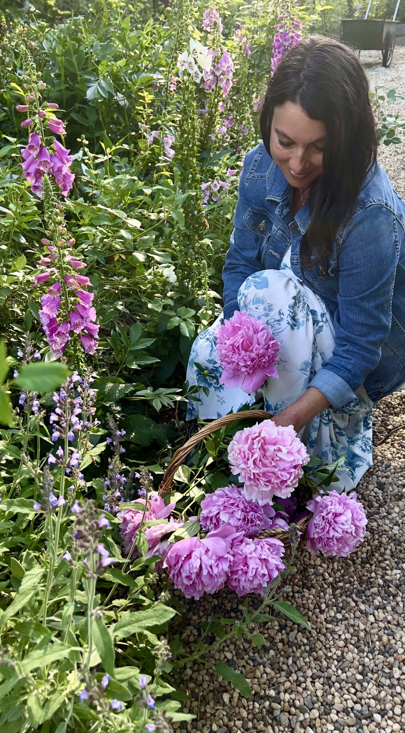 Beautiful Peonies in the garden - French Country Cottage