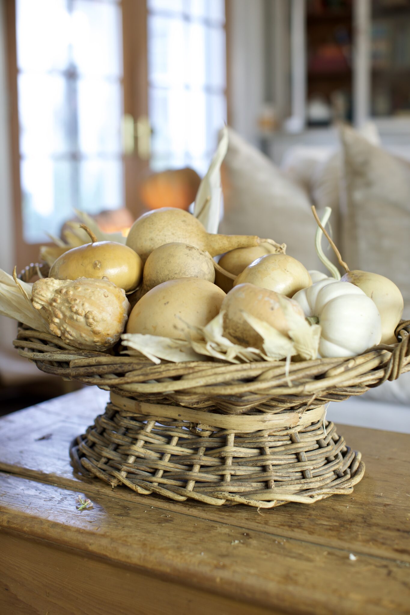 Simple Autumn Beauty Dried Flowers & Gourds - French Country Cottage