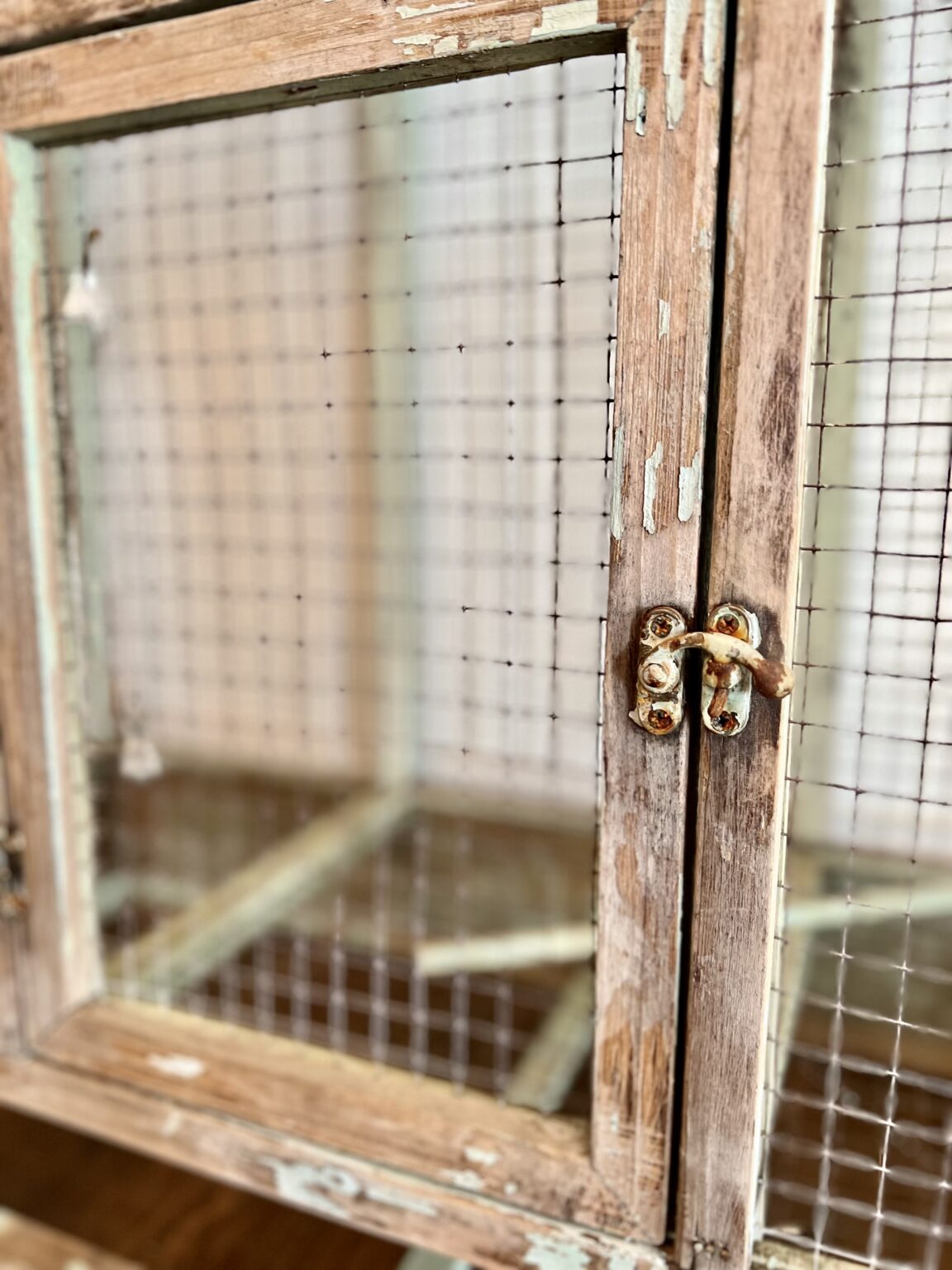 Thrifting treasures- Beautiful painted bird cage - French Country Cottage