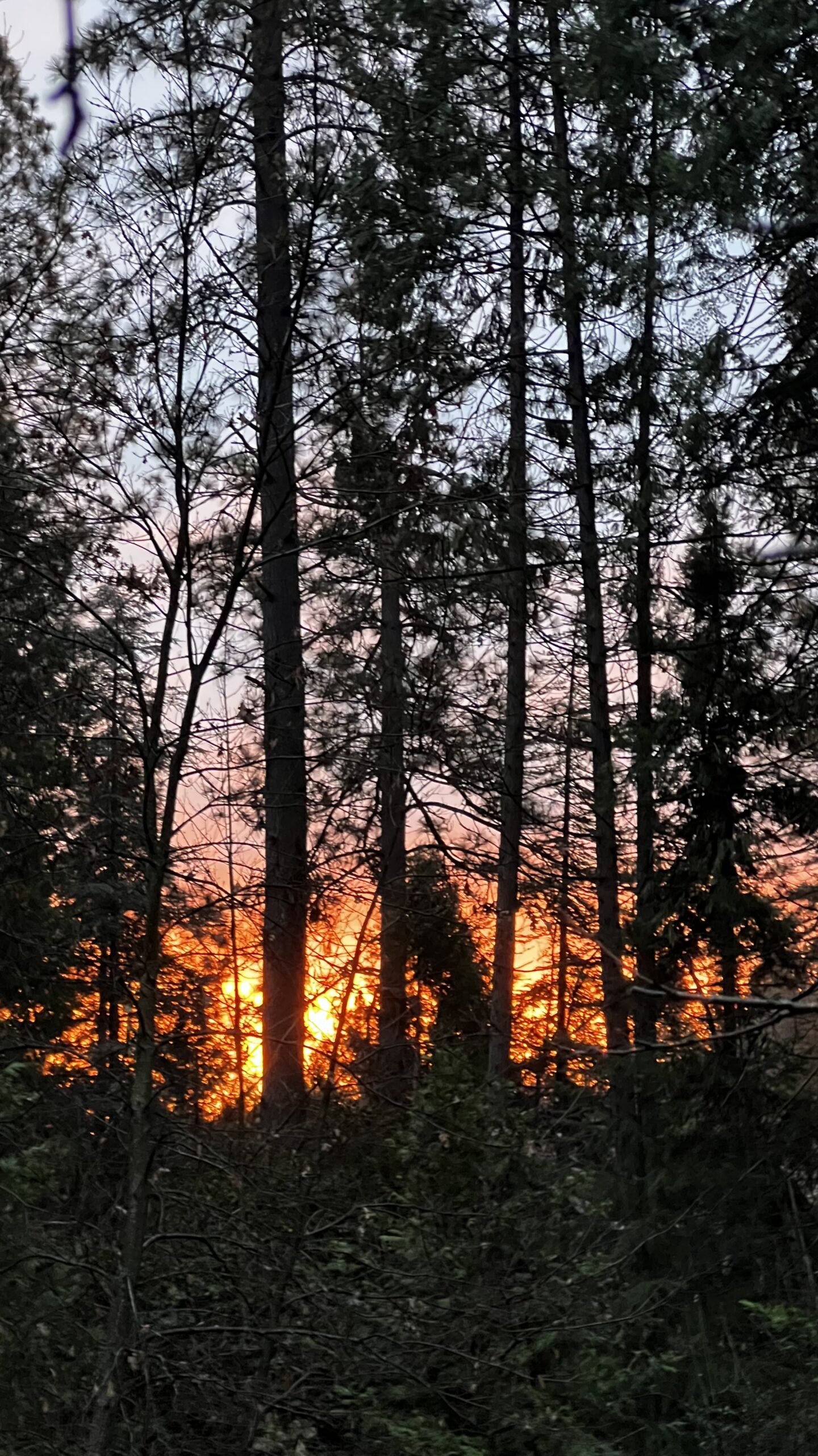 Weekend View - French Country Cottage