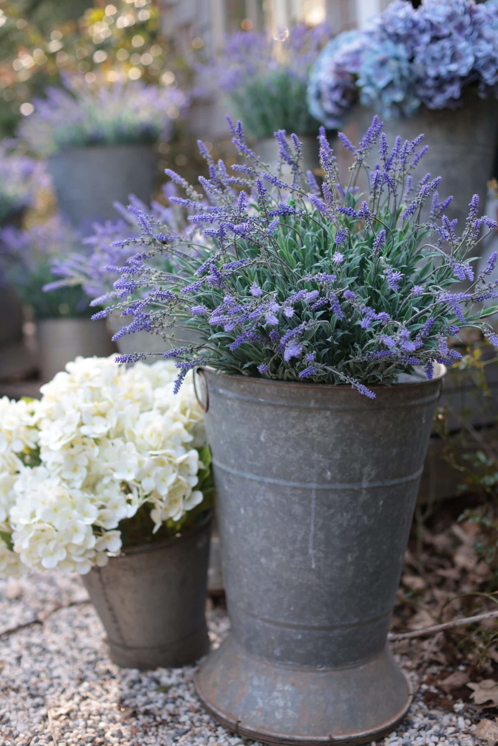 Beautiful Vintage Zinc Flower Buckets - French Country Cottage