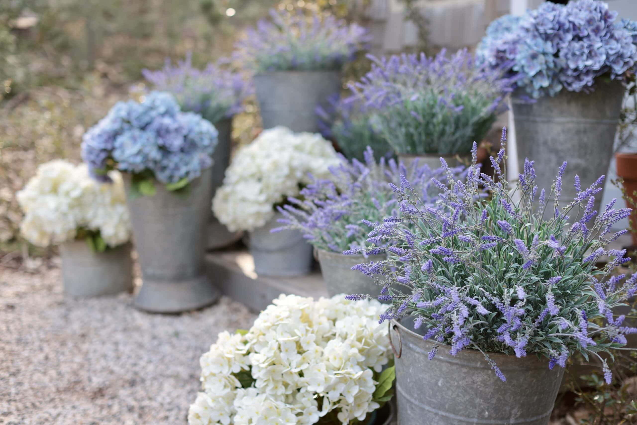 Beautiful Vintage Zinc Flower Buckets - French Country Cottage