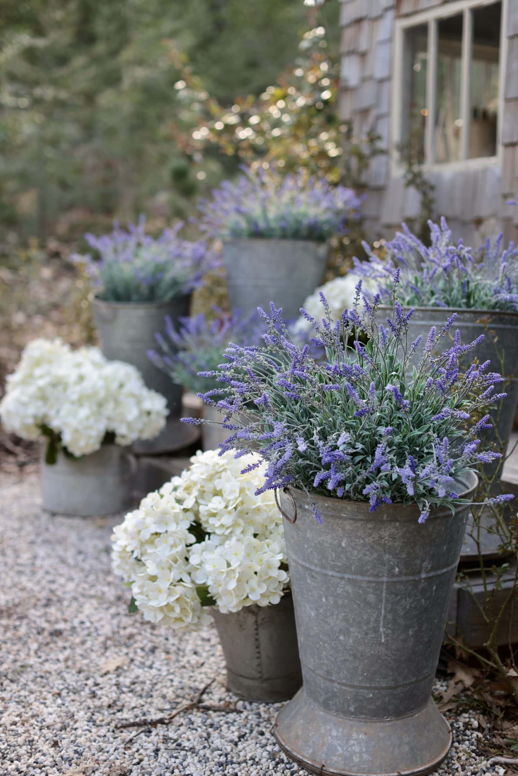 Beautiful Vintage Zinc Flower Buckets - French Country Cottage