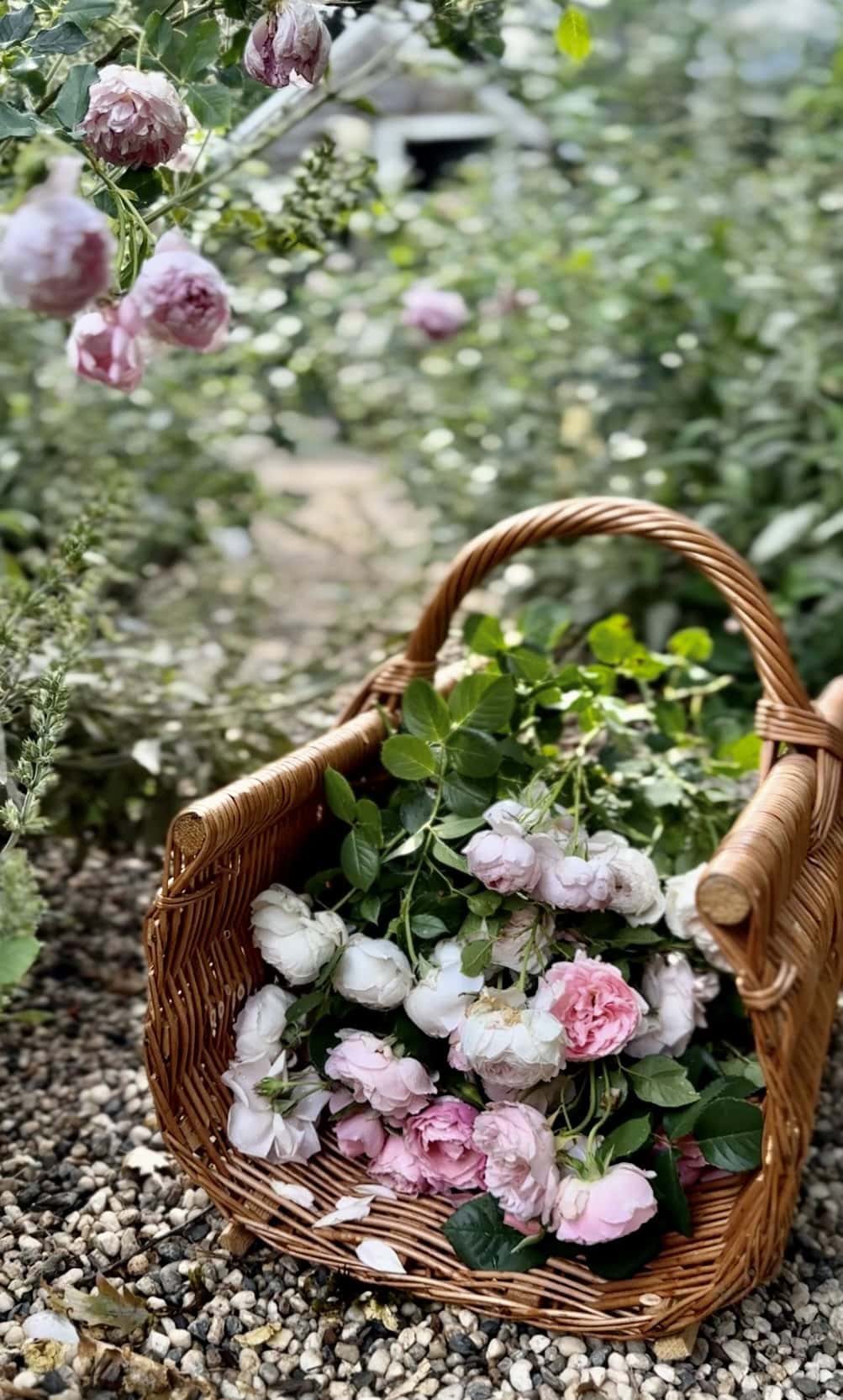 3 Tips for a beautiful gathered floral arrangement - French Country Cottage