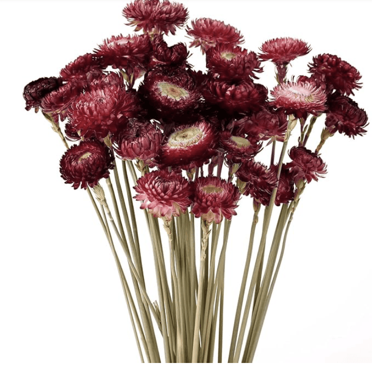 Beautiful DIY Dried or Fresh Autumn Florals Broom - French Country Cottage
