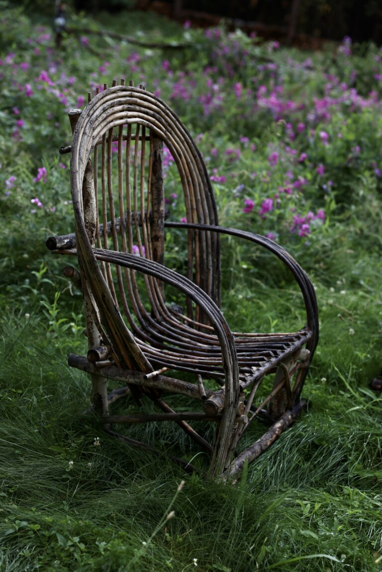 Treasure Hunt- Beautiful Vintage Bent Willow Chairs - French Country ...