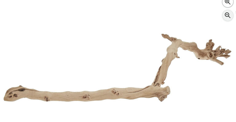 How to Create a Rustic Display with a Branch - French Country Cottage
